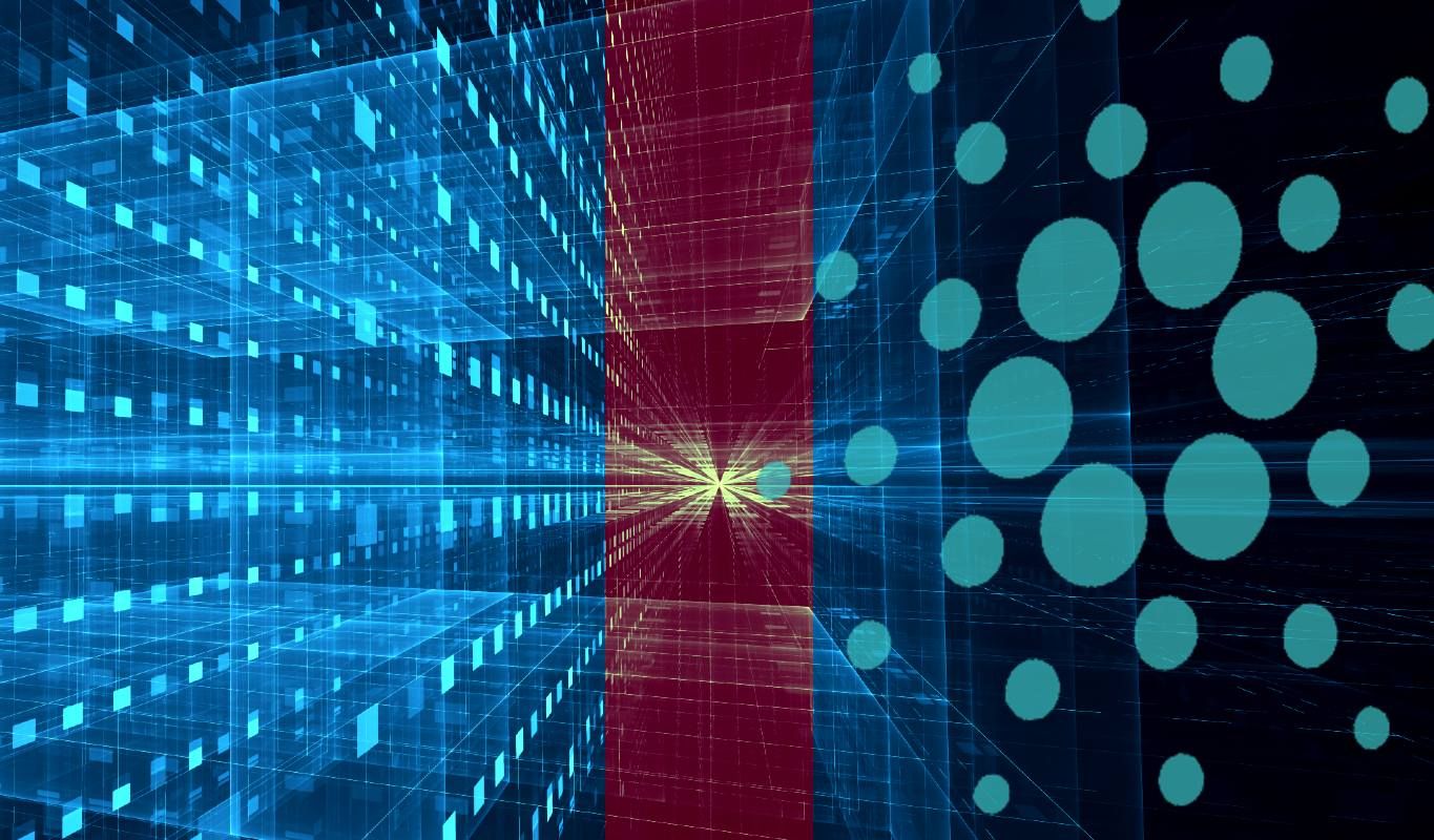 You Can Now Buy Cardano Wine – With Cardano - The Daily Hodl