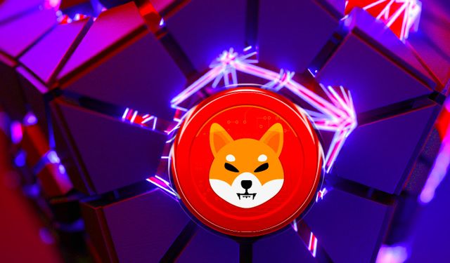 Shiba Inu Team Advises Investors To Do Their Own Research, Be Wary of ...