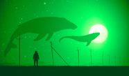 Shiba Inu SHIB And XRP Whales Abruptly Move Over 116 000 000 Worth Shiba Inu SHIB And XRP Whales Abruptly Move Over 116 000 000 Worth