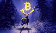 Analyst Who Called May 2021 Bitcoin Collapse Says Historically Accurate