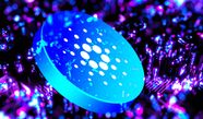 New Cardano ADA Stablecoin Launch Revealed Here s When Djed Comes Out New Cardano ADA Stablecoin Launch Revealed Here s When Djed Comes Out