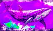 Crypto Whales Give Chainlink Boost After Accumulating 50 000 000 More Crypto Whales Give Chainlink Boost After Accumulating 50 000 000 More