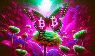 Phase Of Face Melting FOMO Now Underway For Bitcoin According To Phase Of Face Melting FOMO Now Underway For Bitcoin According To