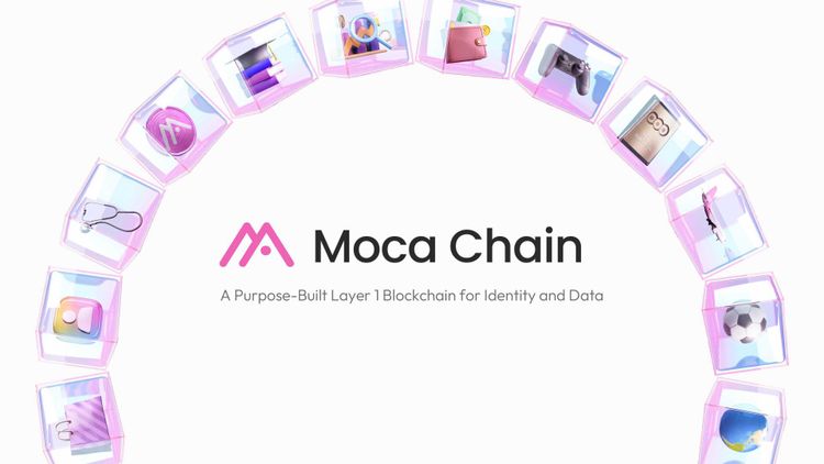 News - The Daily Hodl